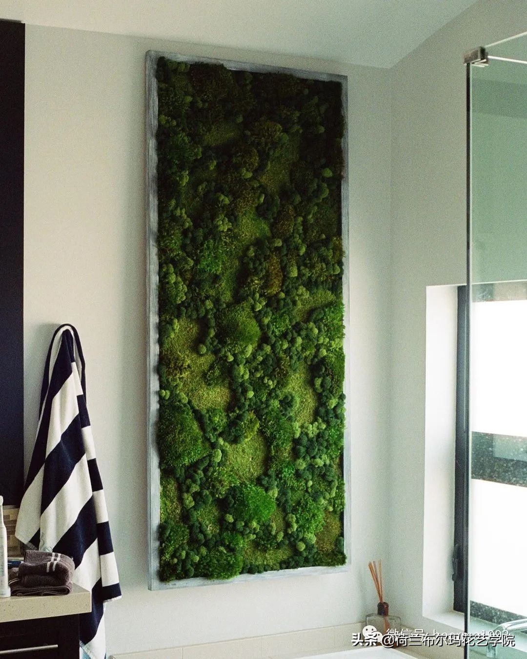 The beauty of miniature natural landscape - iNEWS