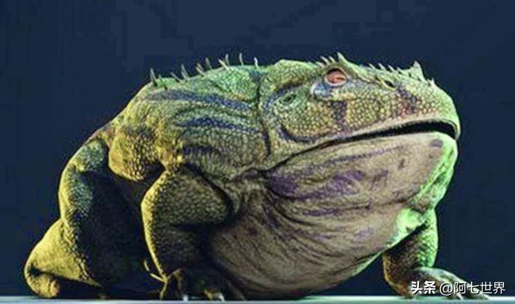 Prehistoric Giant Frog, the Largest Frog Ever Lived, Feeds on Dinosaurs ...