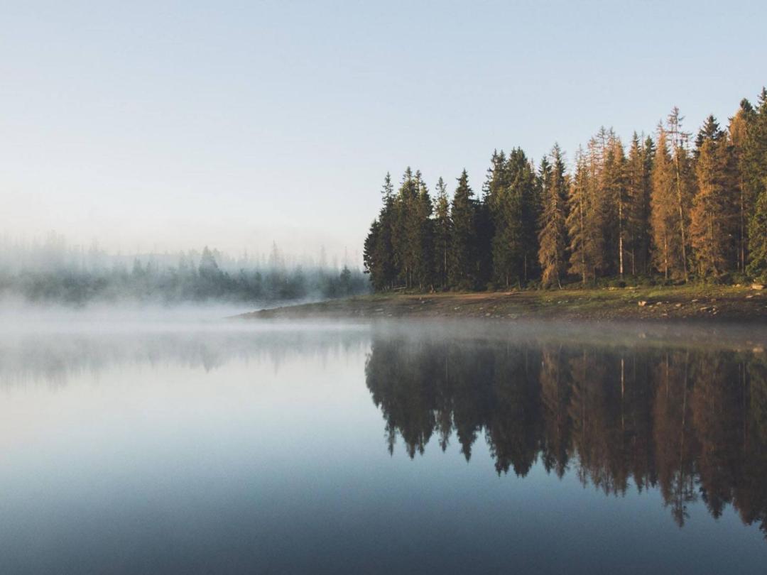 Tesla is the "rolling king" again, Tao Lin denies that it can't be sold ...