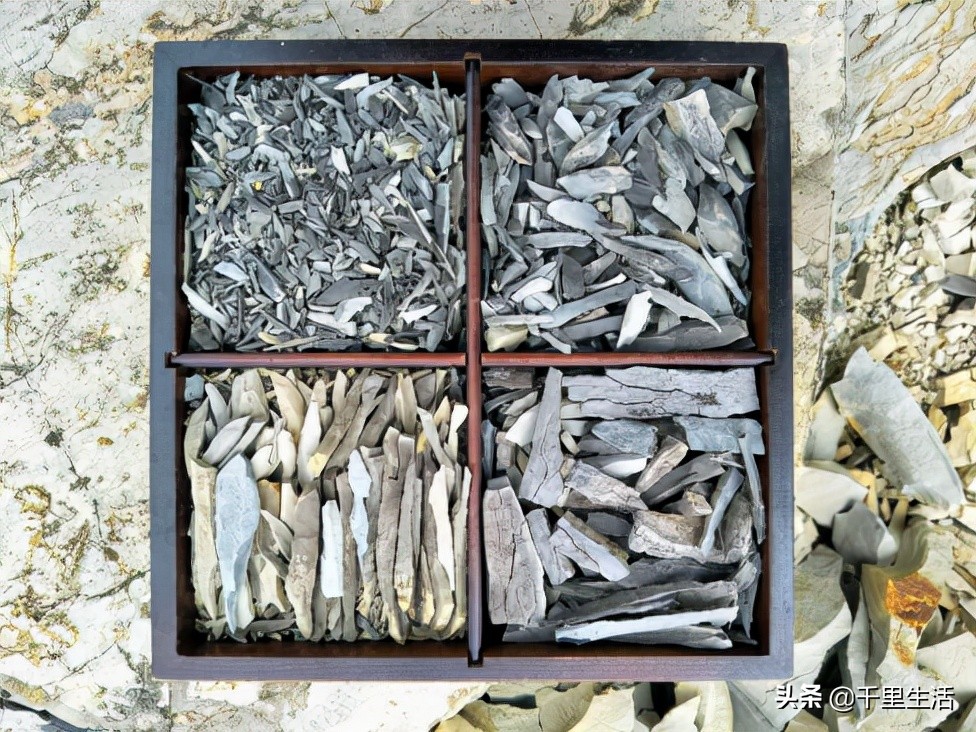 Yunnan volcanic rock ginseng fruit, once eaten, will make you fall in ...