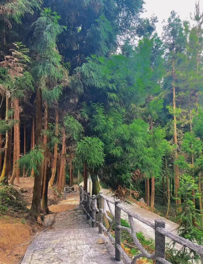 Where to go this summer?Go to Chongqing Shizhu Qiyao Mountain ...