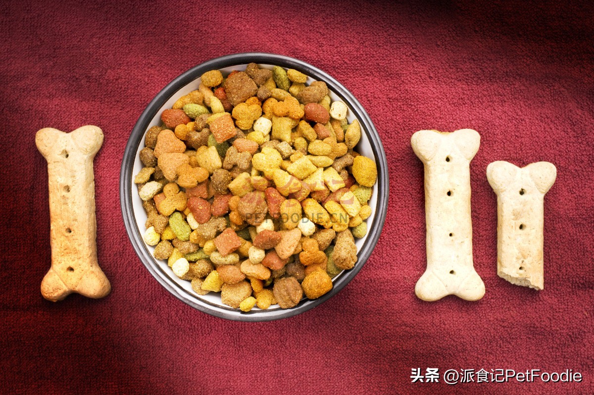 The Taste "Magic" of Pet Food—Animal Hydrolyzates - iNEWS