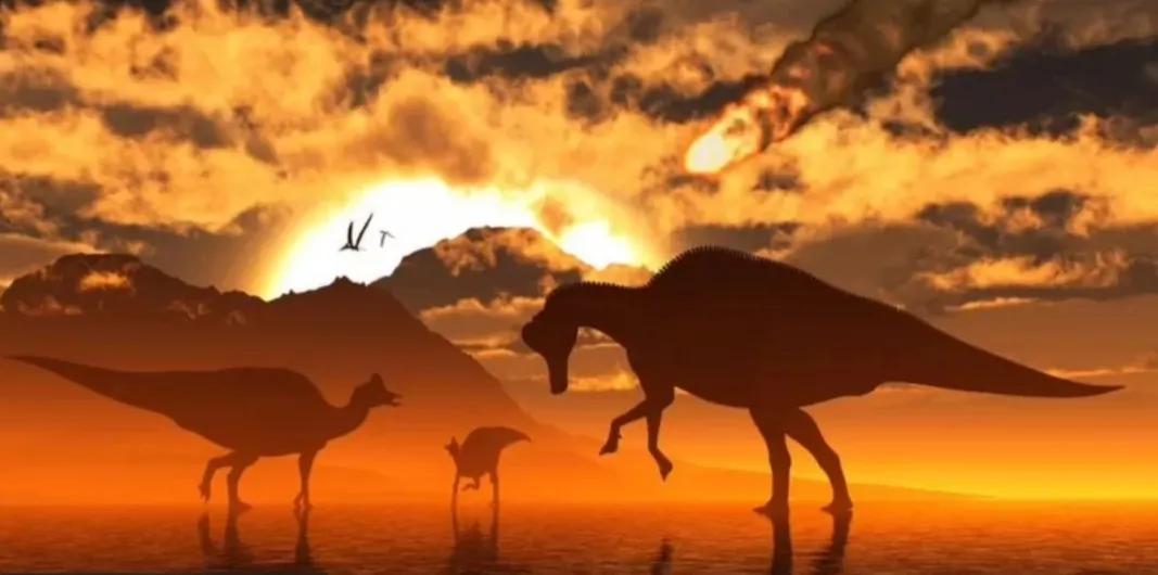 The mystery of the extinction of the dinosaurs: How many meteorites hit ...