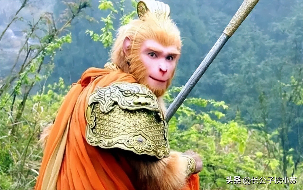 Before he died, he said that if a god monkey was born and killed him or ...