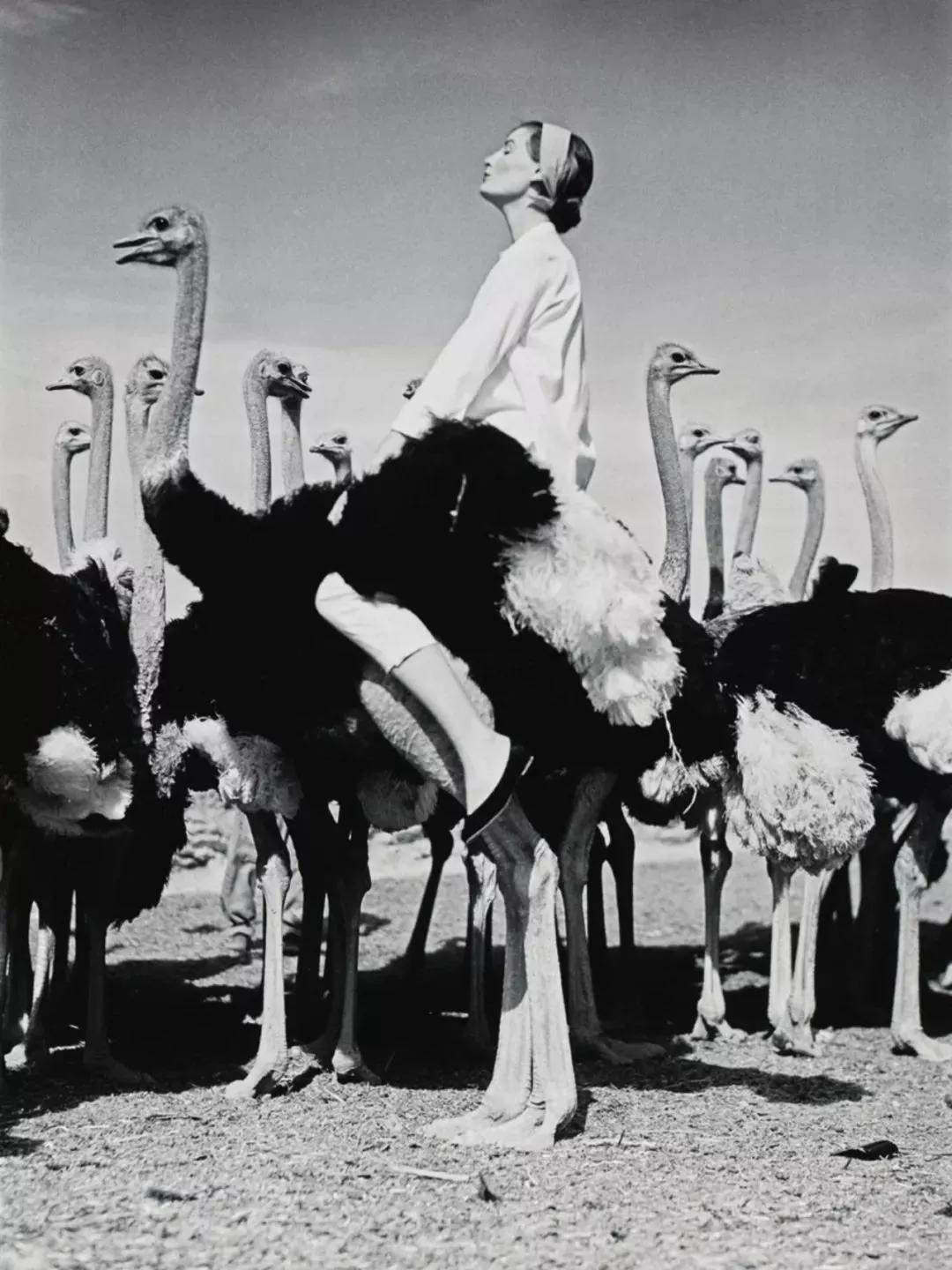 Why does reality need the eye of a camera? - iNEWS