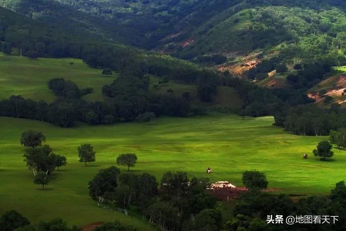 China Forest Tour - Shennongjia Primitive Forest - iMedia