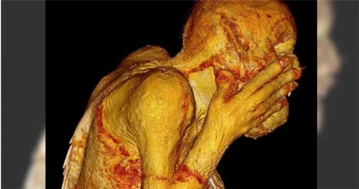 The mystery of the "mermaid mummy" in a Japanese Buddhist temple is ...