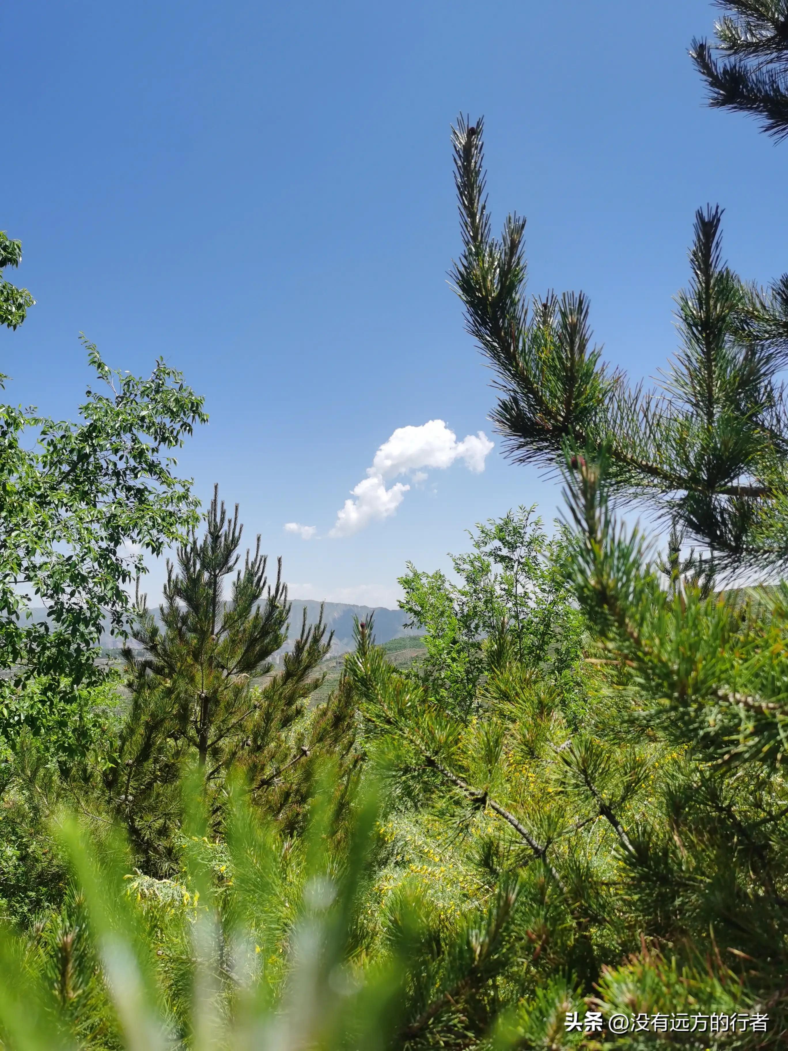 Langshan, a summer trip for Xining people - iNEWS