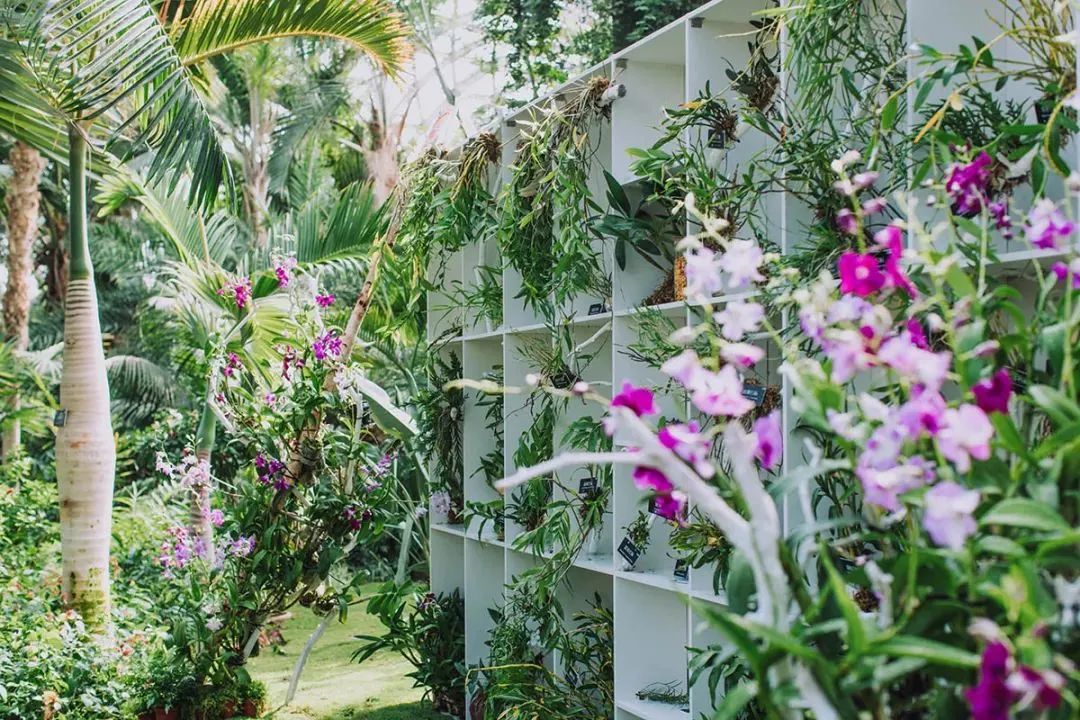 Chenshan Botanical Garden - iNEWS