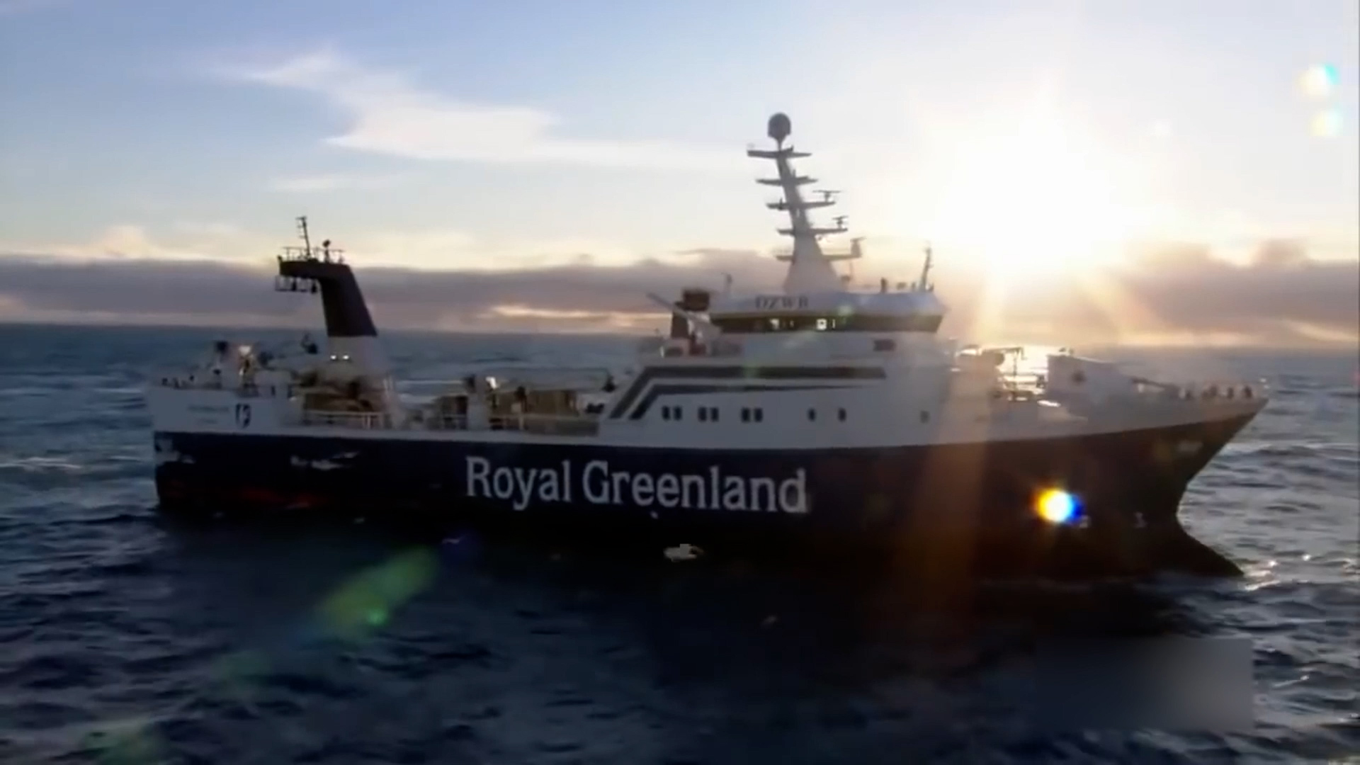 Why are the arctic shrimps bought cooked? - iNEWS