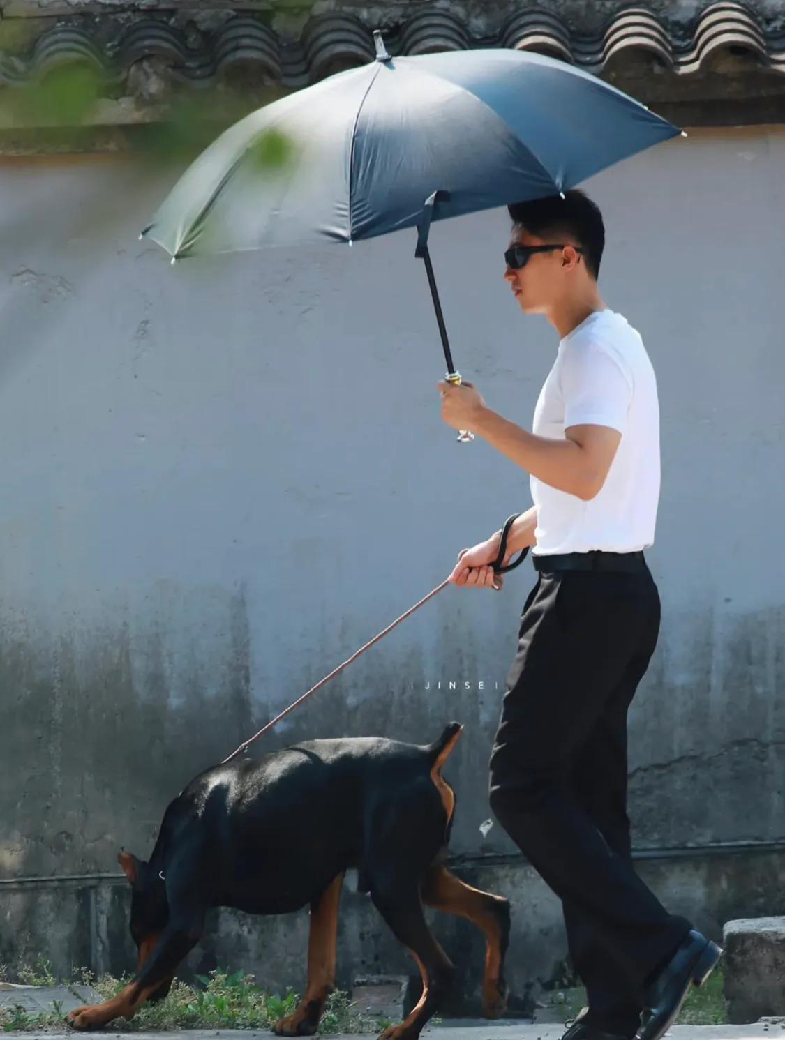 President Huang Jingyu and his dog - iNEWS