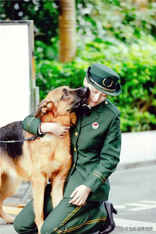 The search and rescue dog Kang Kang retired, and the trainer sent his ...