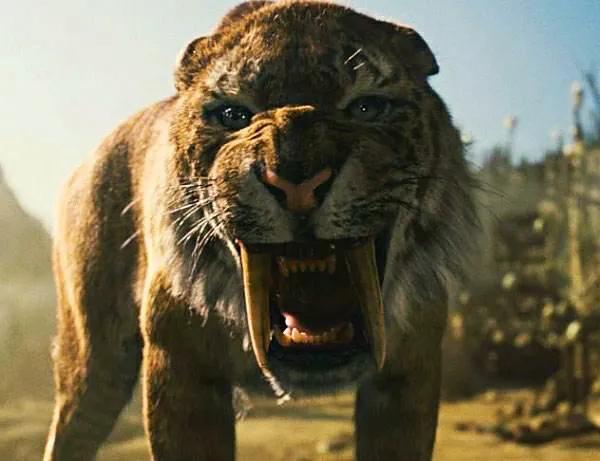 Why did the ferocious saber-toothed tiger go extinct?Tiger is not as ...