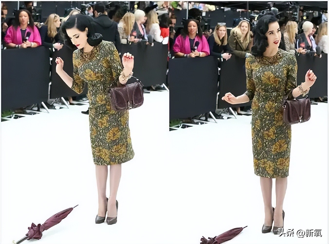 Dita Vantis: The legendary beauty who conquered the world by herself ...