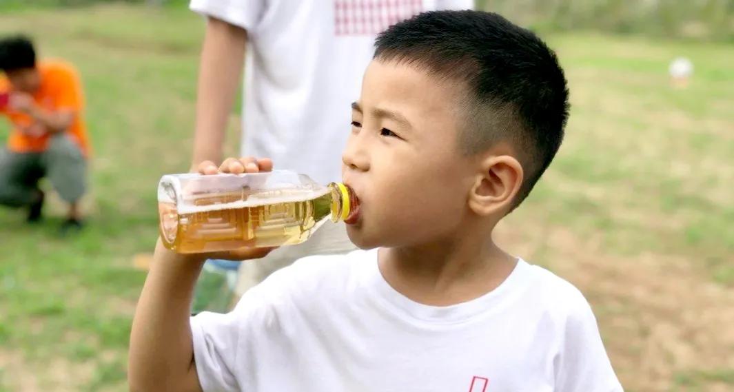 Chew slowly vs. gobble down-on the importance of the way of eating and ...