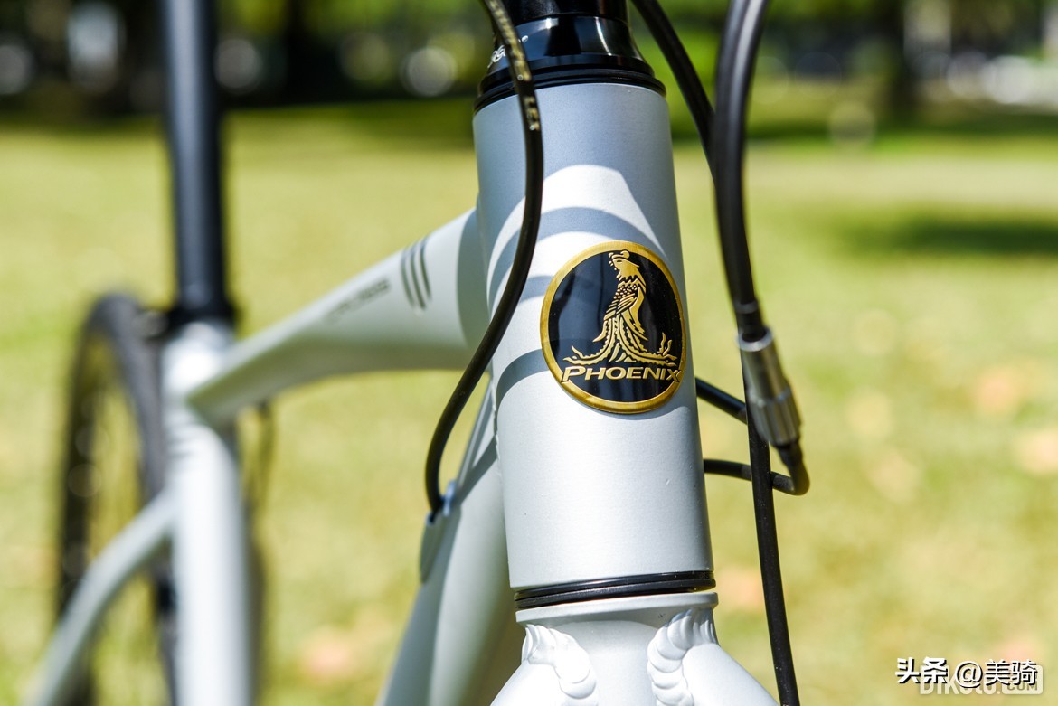 The choice of cost-effective entry-level Phoenix FNIX XR1200 all ...