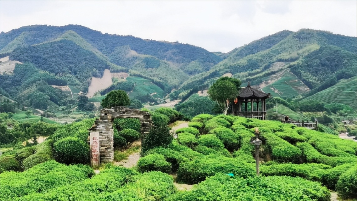 Thousand Years of Tea Rhythm Beiyuan Tribute Tea - iMedia