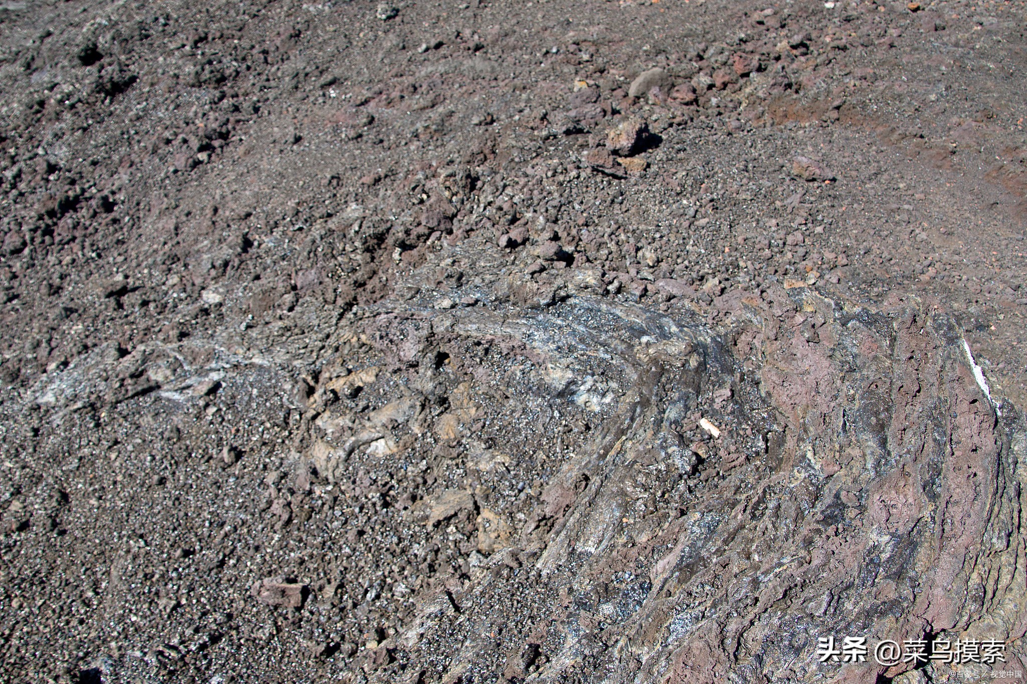 What do the surface structure and geological characteristics of Venus ...