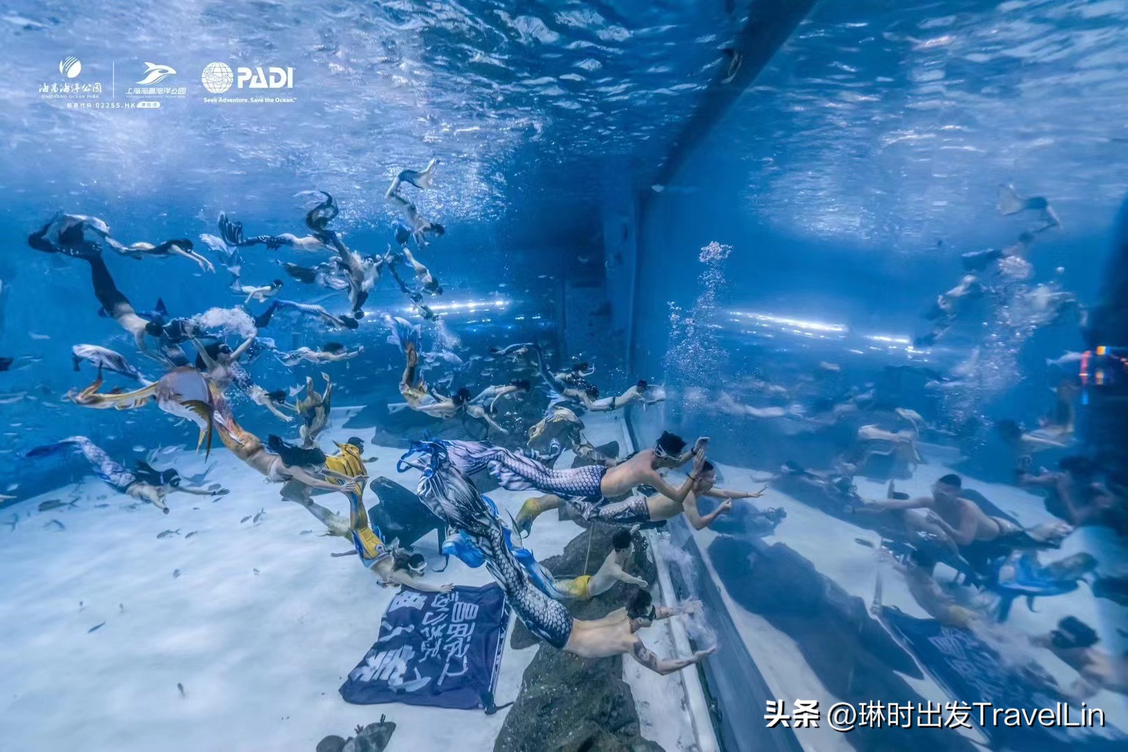 The most mermaid check-in spot in Shanghai: Shanghai Haichang Ocean ...