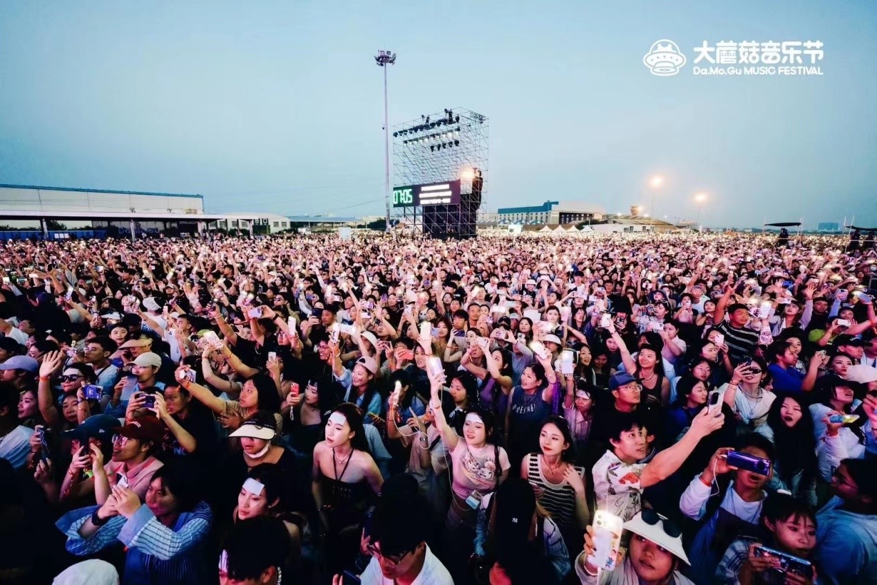 Kind of Dream Music DMG Mushroom Music Festival: a top rap carnival ...