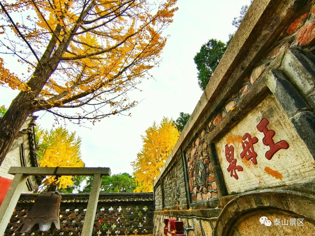 The thousand-year-old ancient temple is dyed golden in autumn - iNEWS