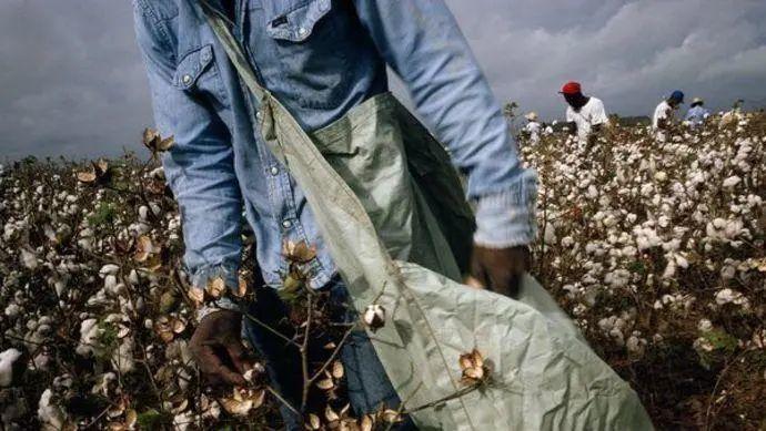 A Brief Analysis of the Contributions of the Underclass People in the ...