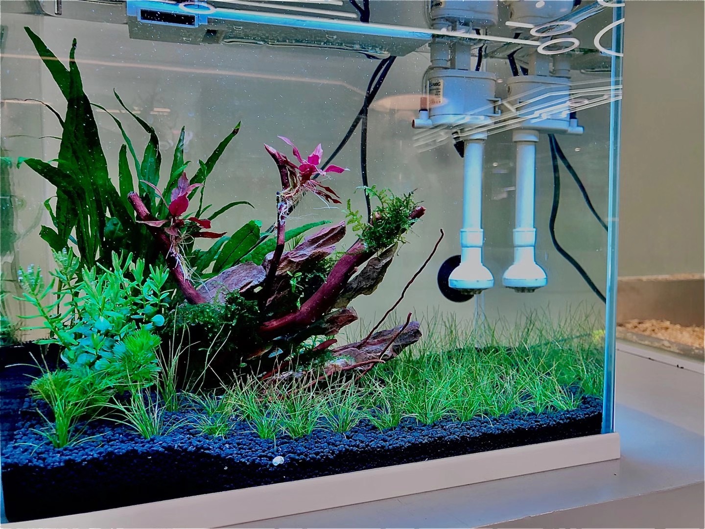 How to choose the right finished desktop fish tank! - iMedia