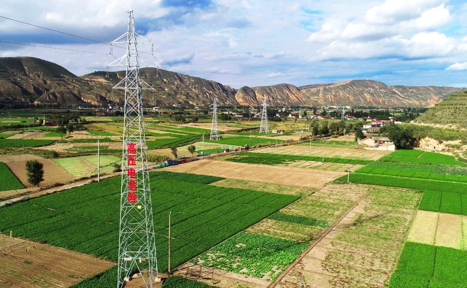 Dingxi: Planted 13,800 plants in the wasteland in three years and ...