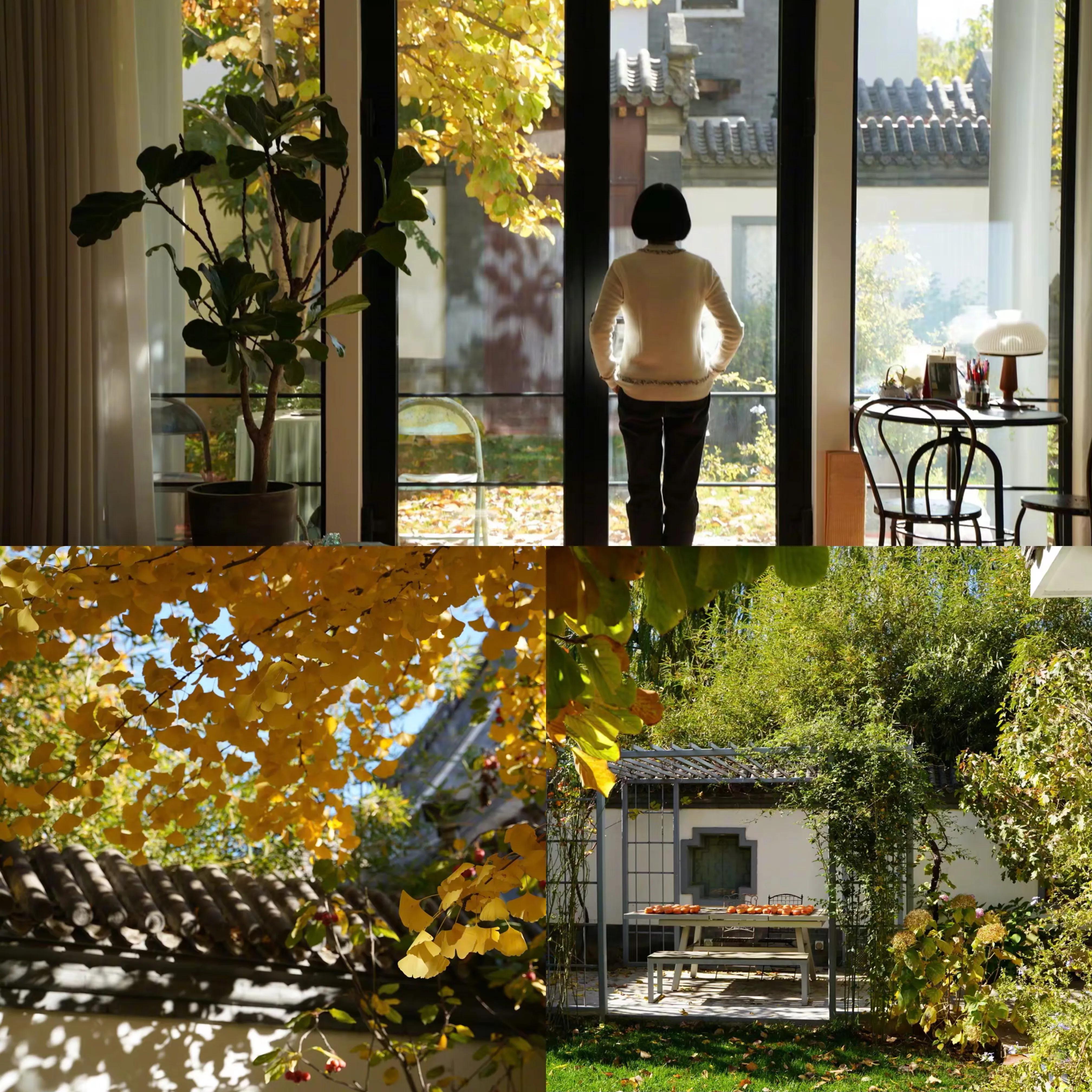 46-year-old Zhao Ziqi turned into a park blogger!Having a delicious ...