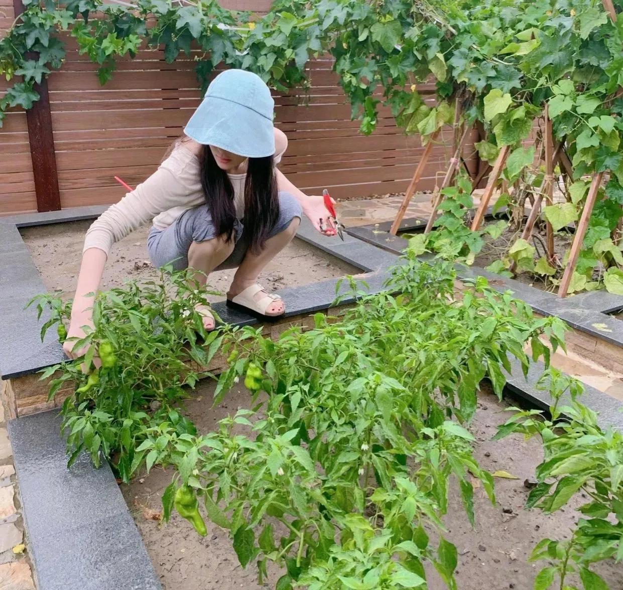 Zhang Yuqi, Wang Junkai, Zhang Xinyu, Lin Gengxin, Luo Yunxi, Zhao ...