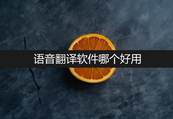 Which voice translation software is easy to use? You will understand ...