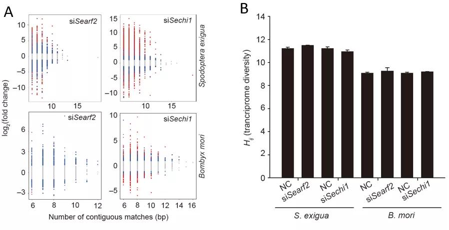siRNA off-target effect and new technology for safety assessment - iNEWS