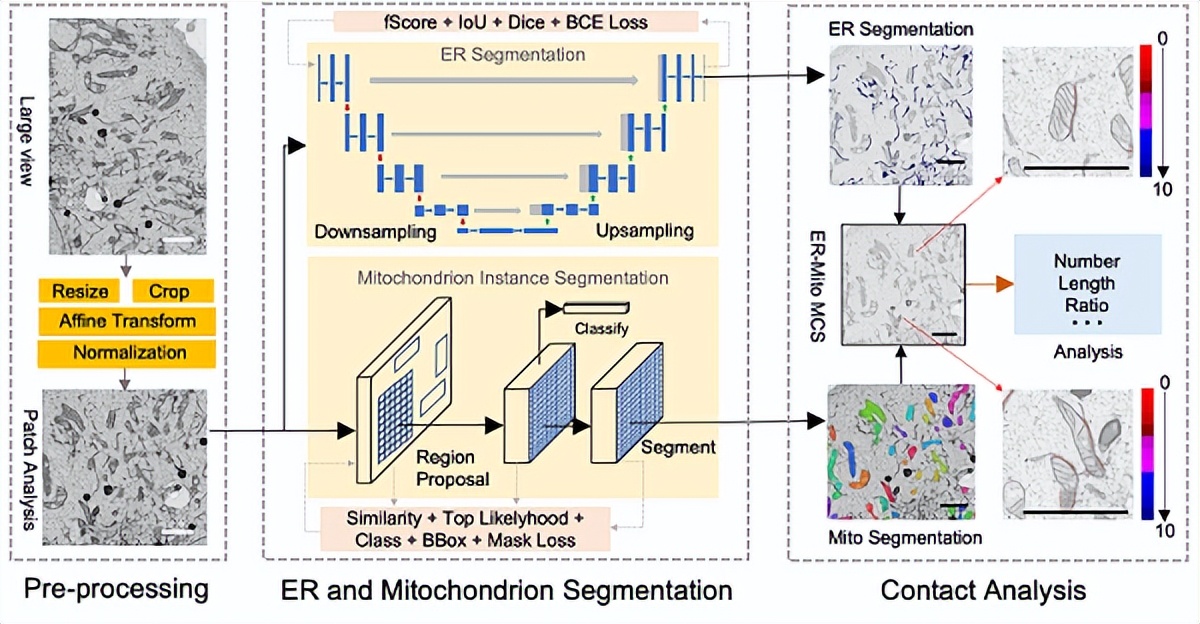 Science and Technology Island: Scientists develop a high-throughput analysis system for ...