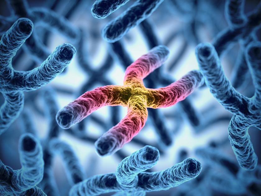 The mystery of longevity is hidden in the genes. What did the 122-year ...