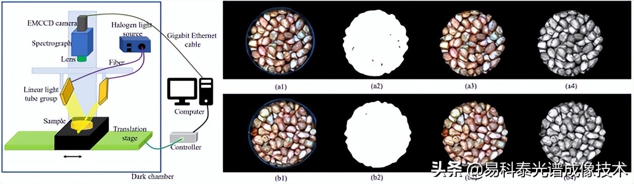 ImSpector Imaging Spectrometer - iNEWS