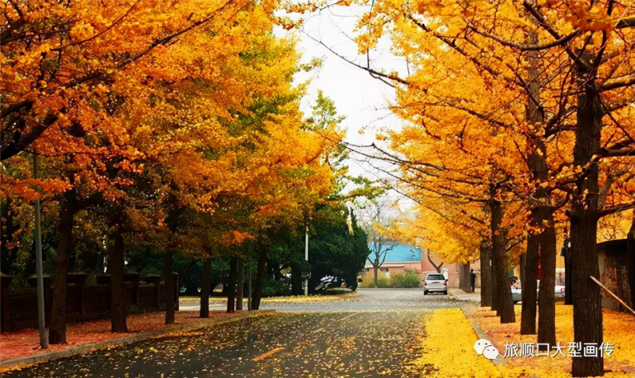 The Story of Sun Valley - Kanto Shrine - iNEWS