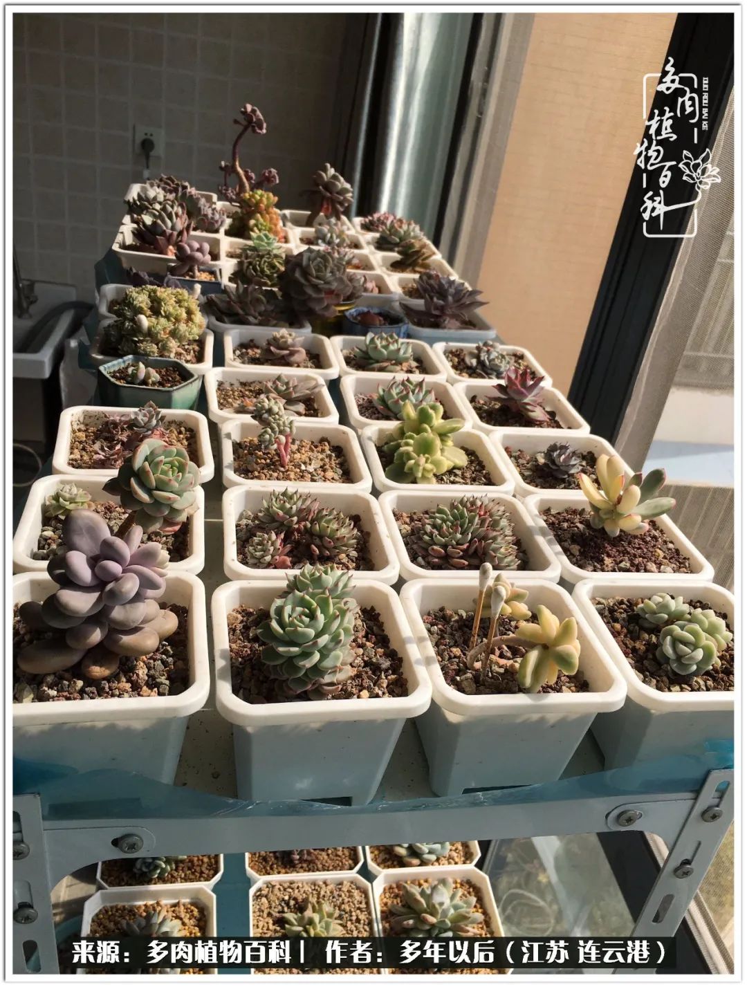 Two Years in the Pit: Meeting you is just the beginning of the story ...