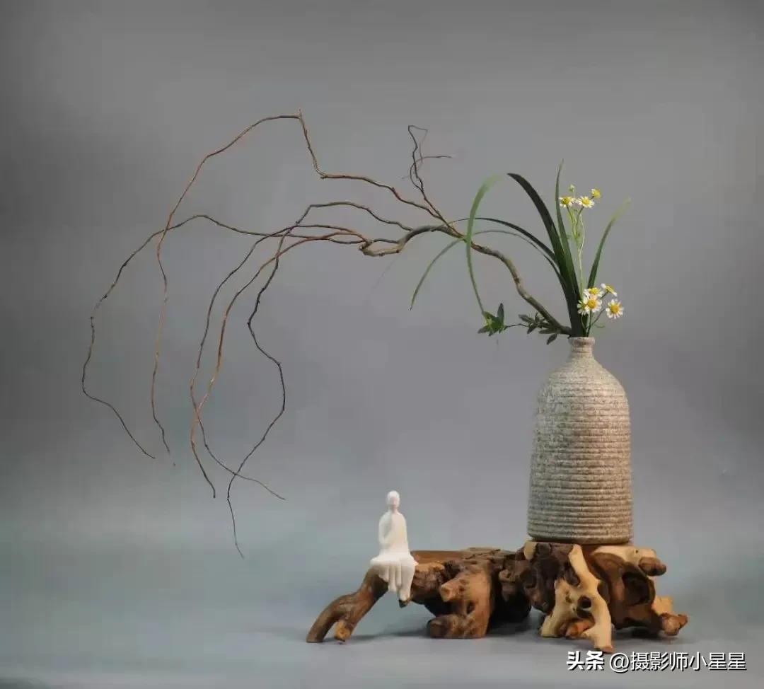 Zen flower arrangement photography: unique Chinese aesthetics, self ...