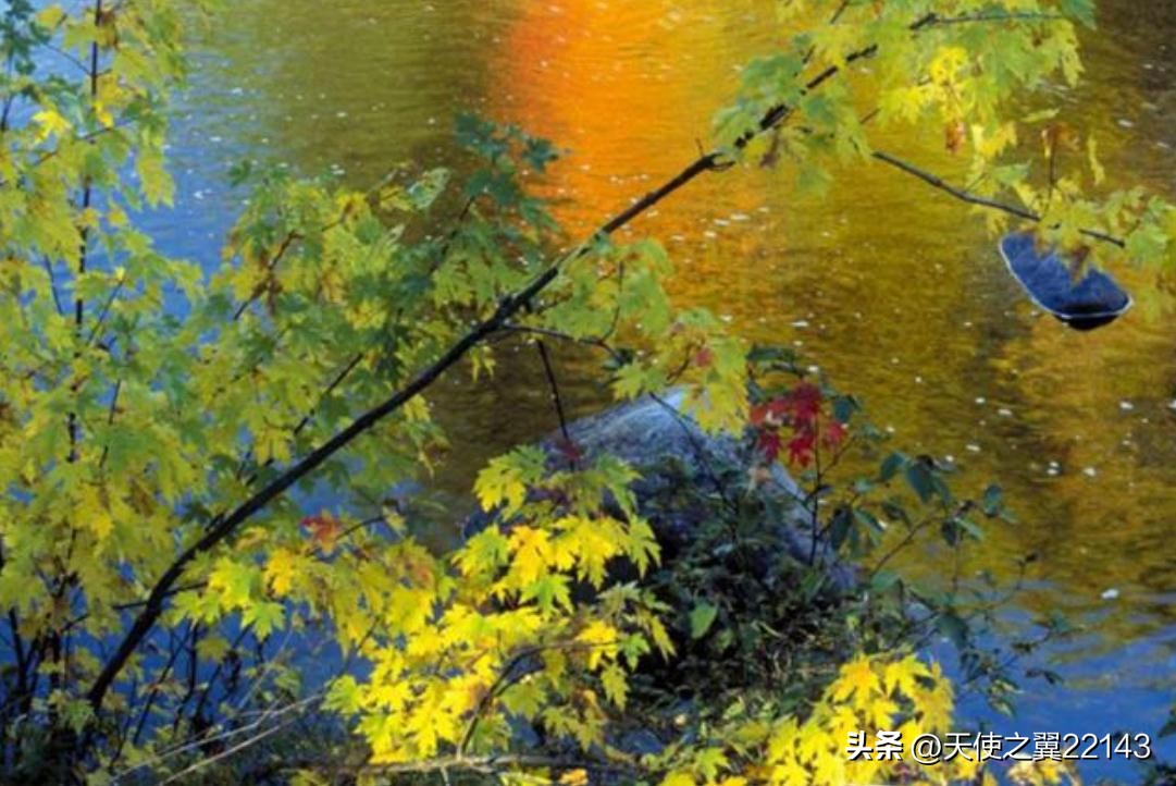 Excessive pursuit of perfection will result in even more imperfections ...