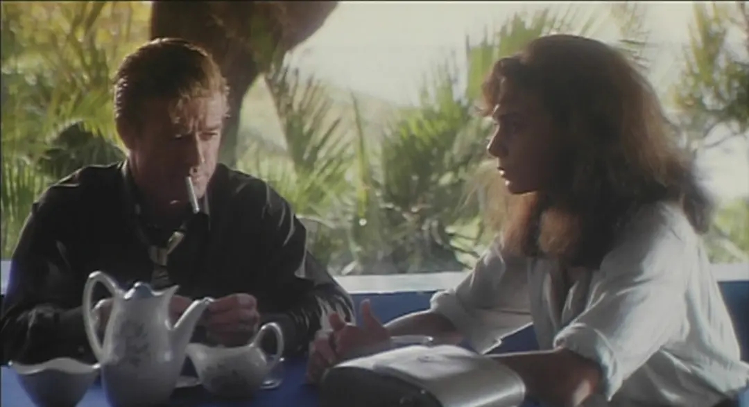 The director uses sub-shots to show the character's emotions and inner ...