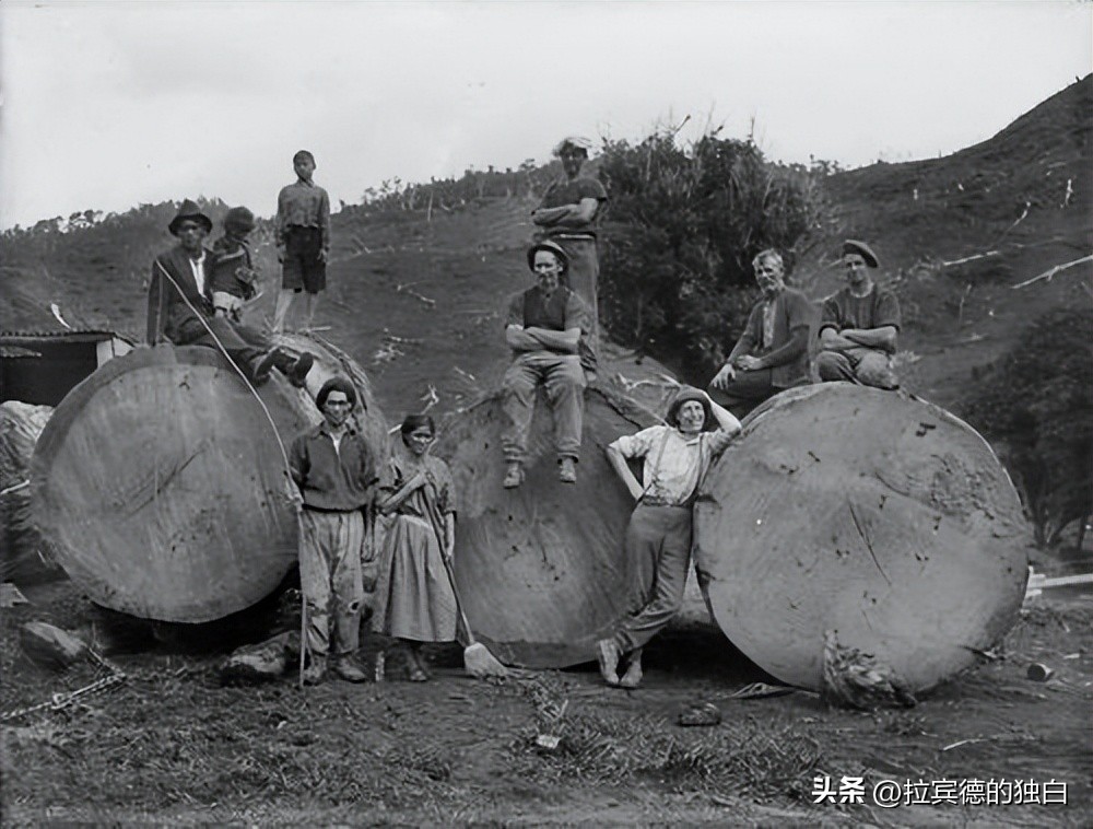 What were the influences of the Mau movement and identity construction ...