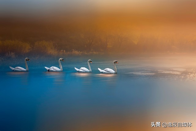 Psychologist: The higher the level of people, the more indifferent, the ...