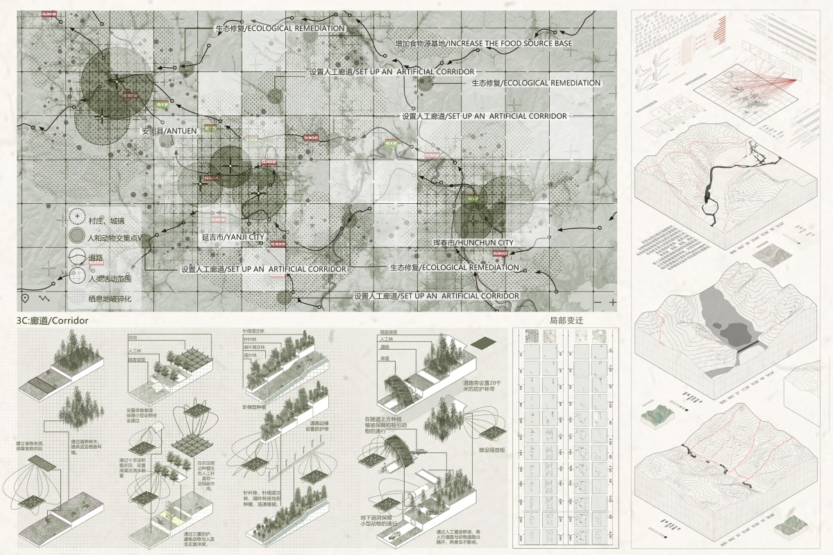 Returning to the old place——Reconstruction of the migration route of ...