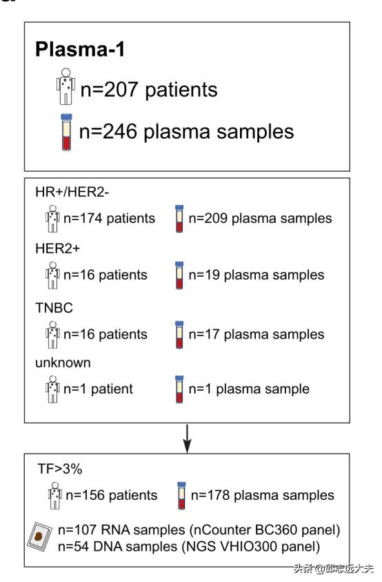 How does the ctDNA of "blood test for cancer" really exert its clinical ...