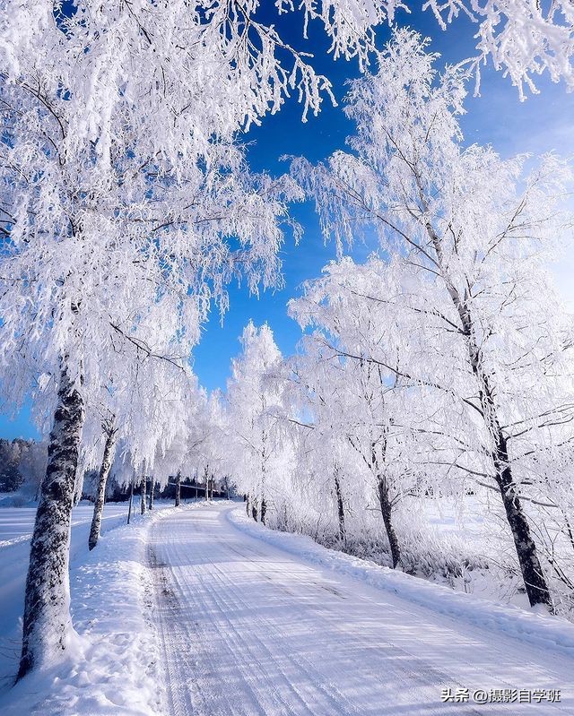 It's so beautiful, that's how winter photography should be taken, it's ...