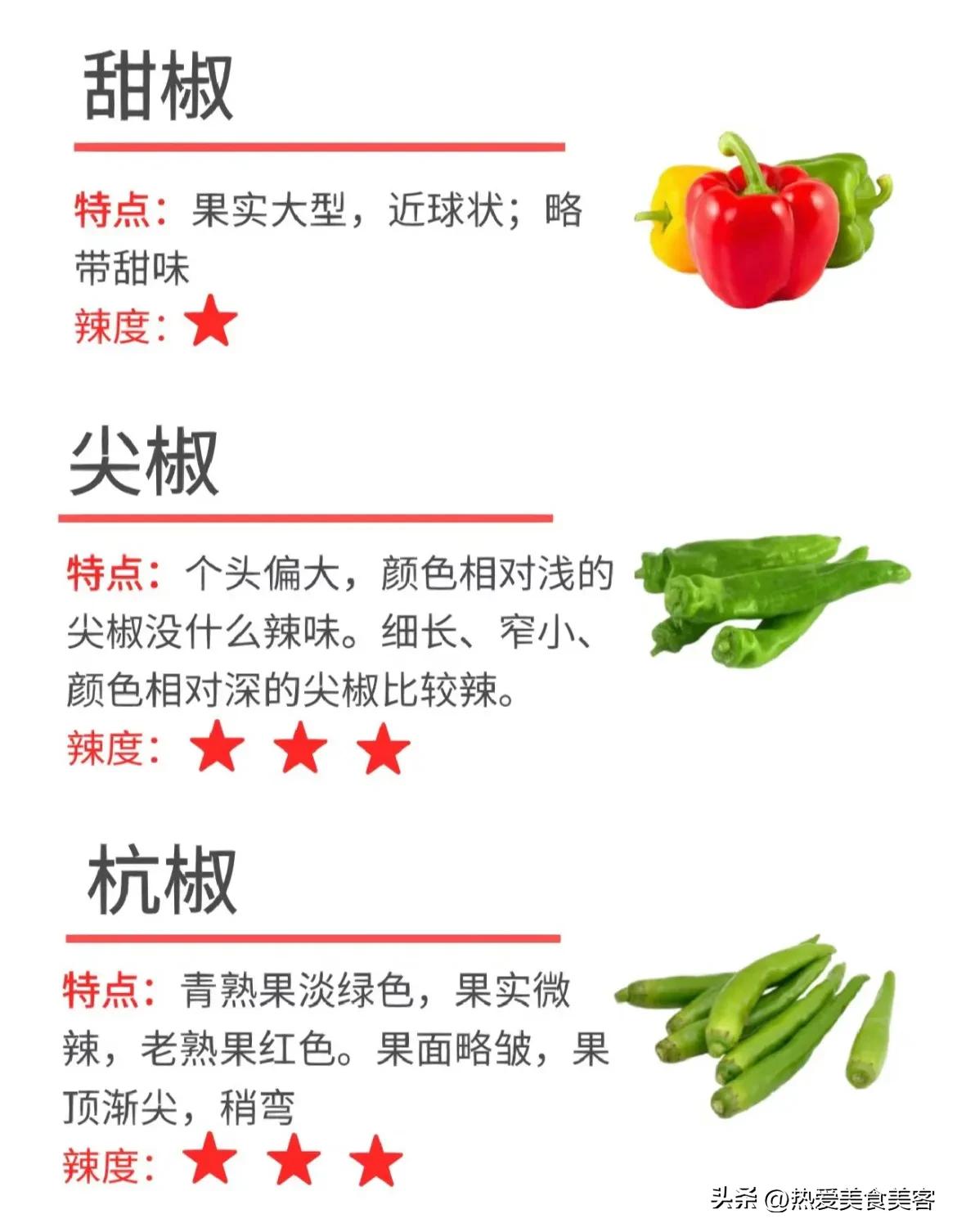 Common green and red pepper varieties and their differences - iMedia