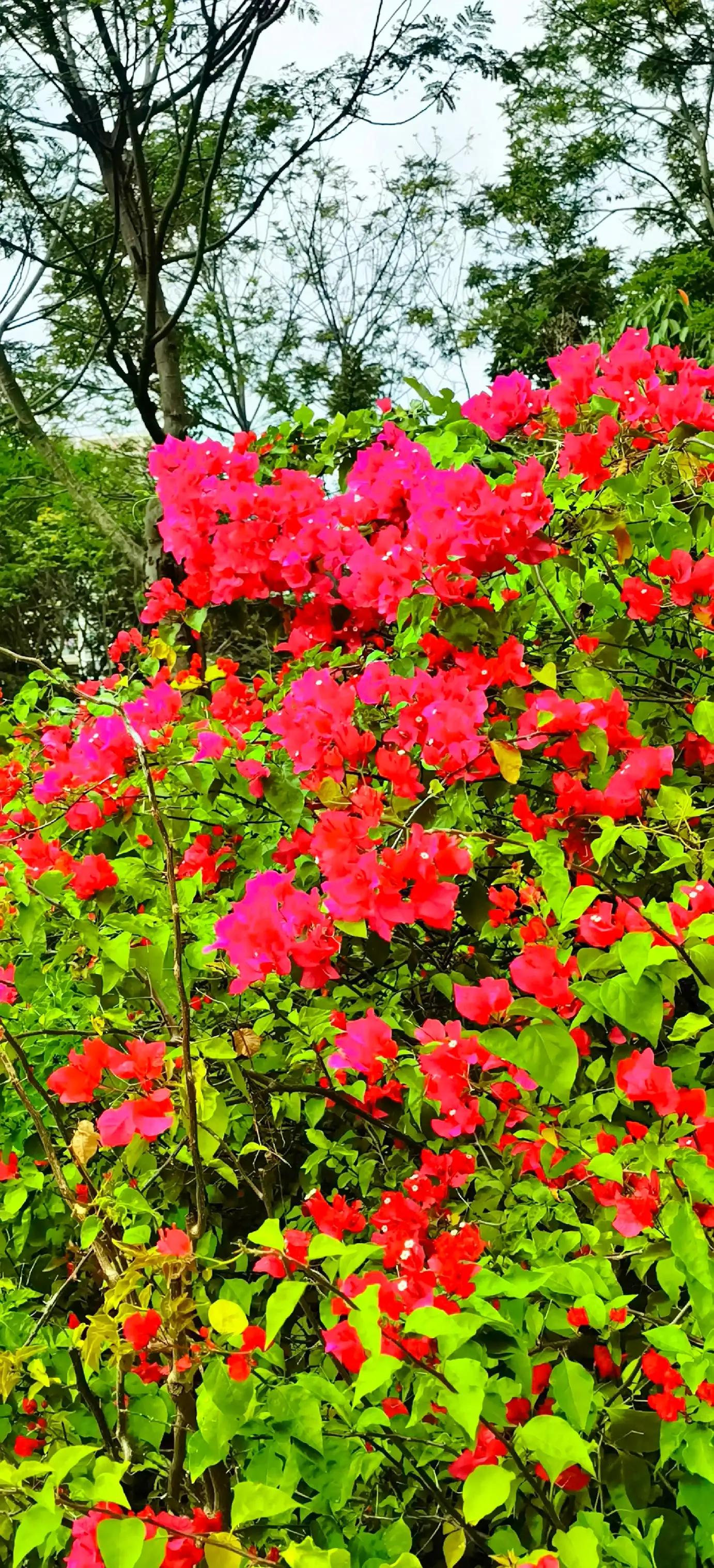 Seven Wonders·Xichun - iNEWS