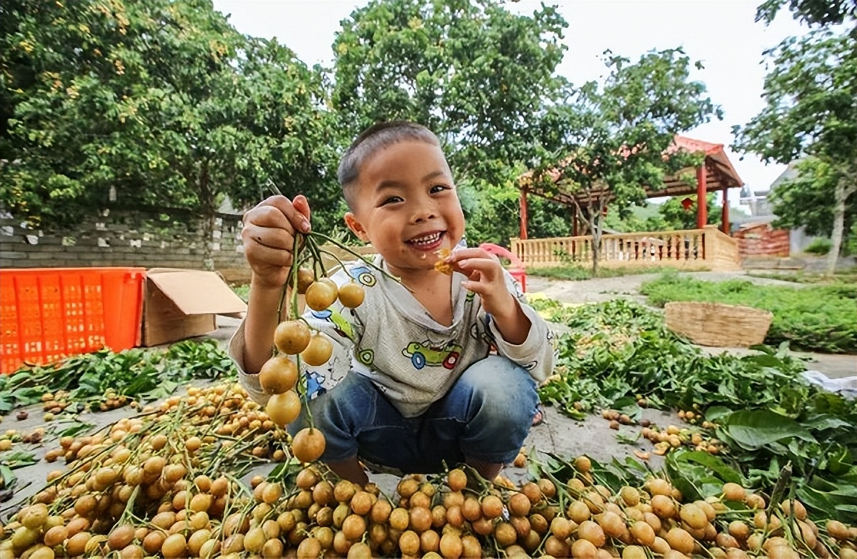 Hainan fruit is the best in the world - iNEWS
