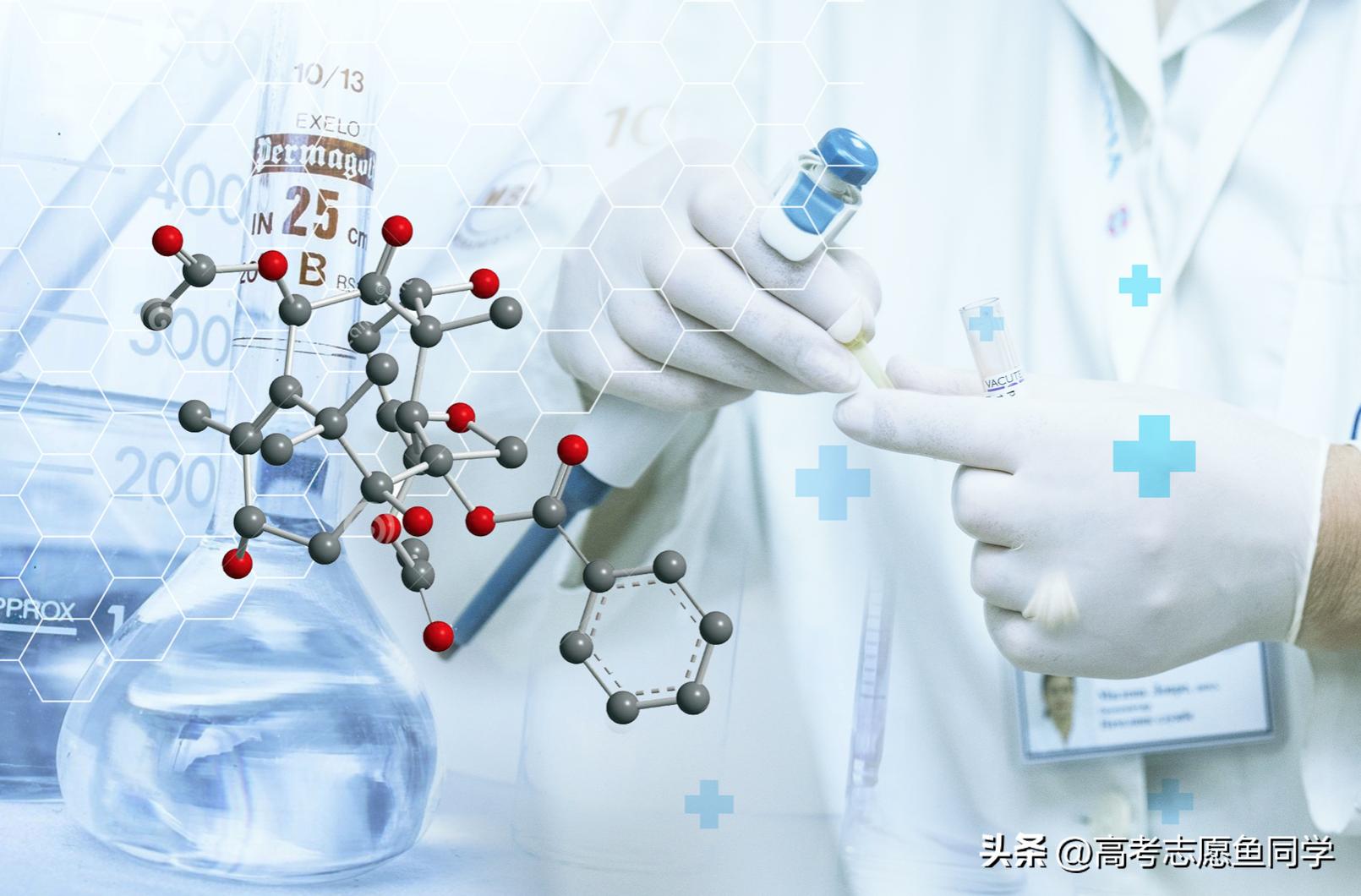 Inventory of 11 categories of "medical majors" in universities - iMedia