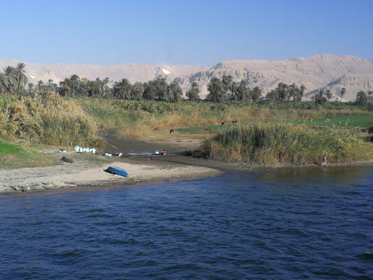 In the change of current situation, the role played by the shaping and ...